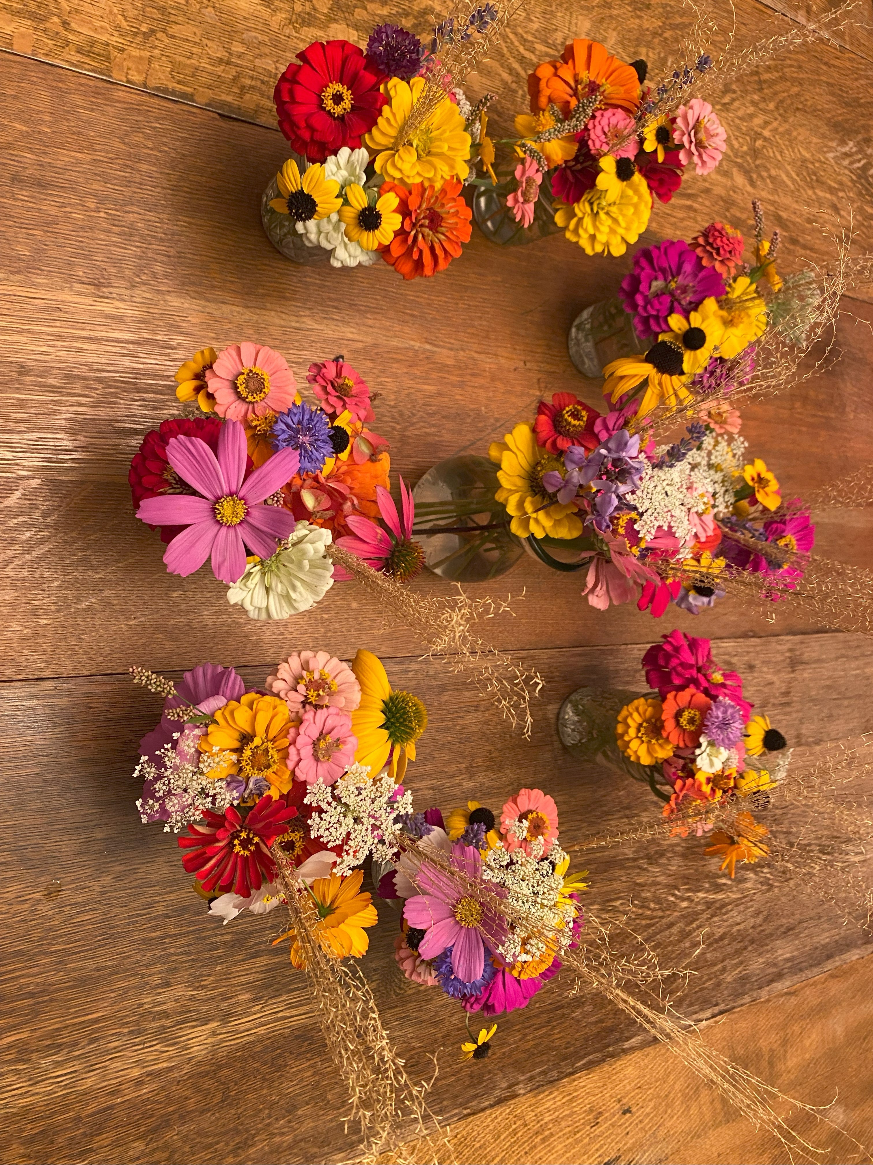 Cut Flowers – Bale Kenyon Family Farms