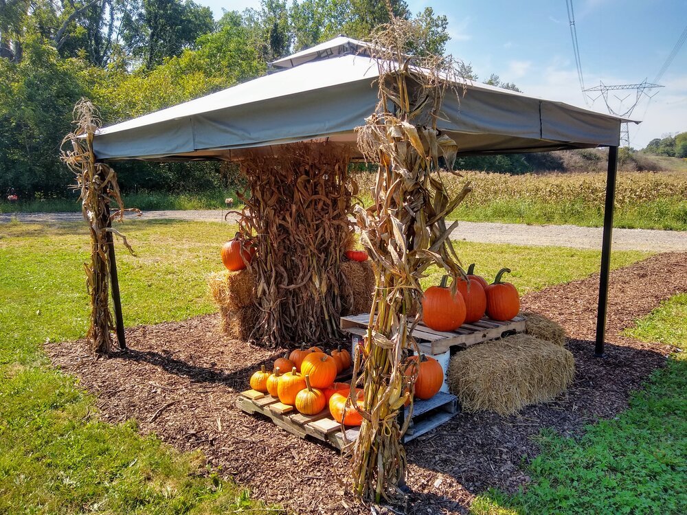 About Us – Bale Kenyon Family Farms