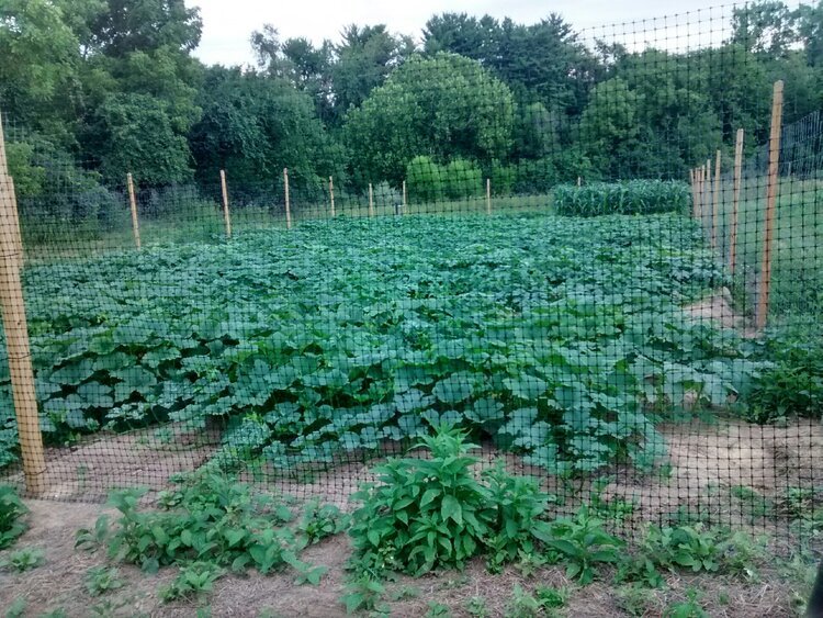 About Us – Bale Kenyon Family Farms