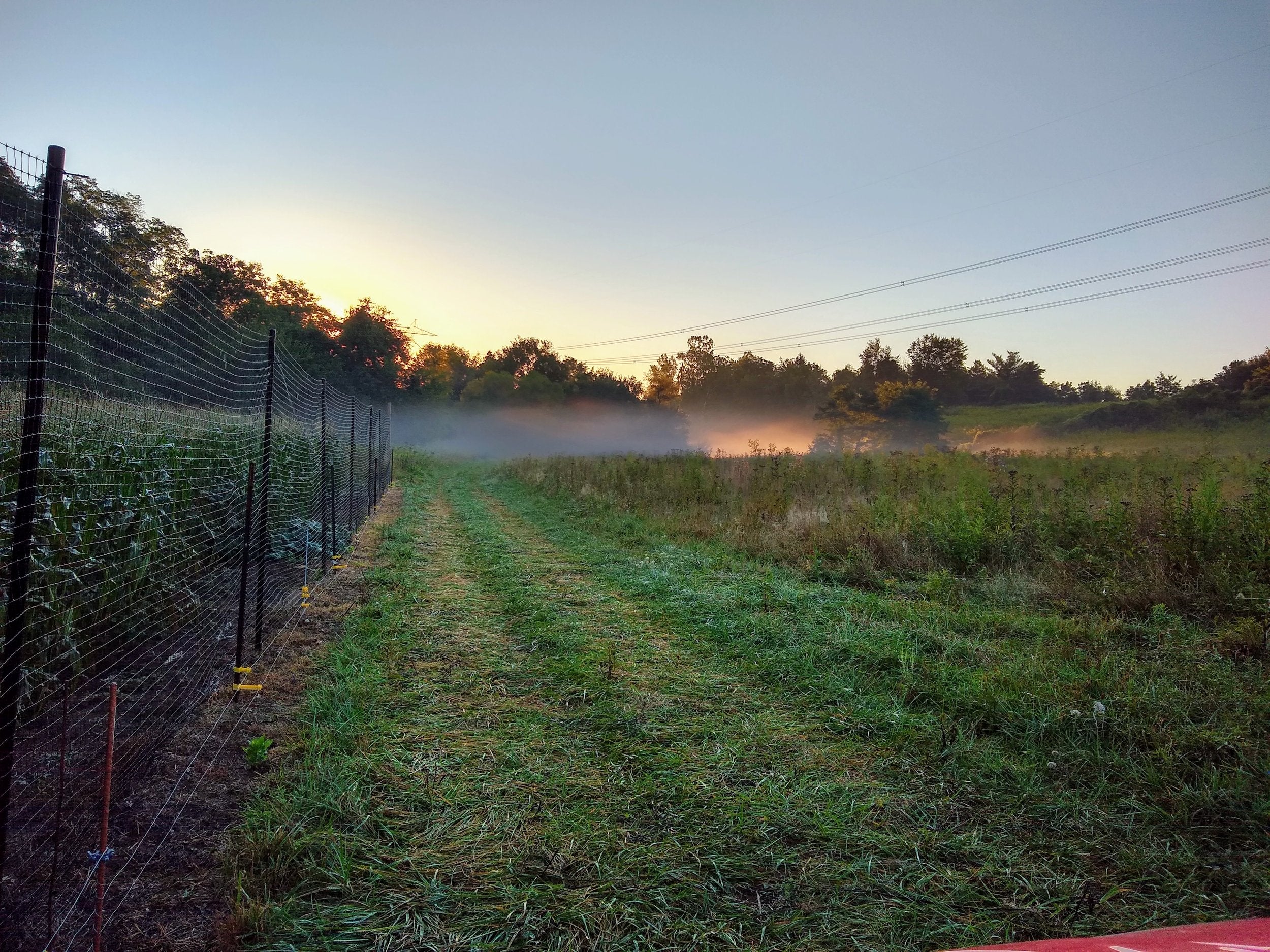 Bale Kenyon Family Farms